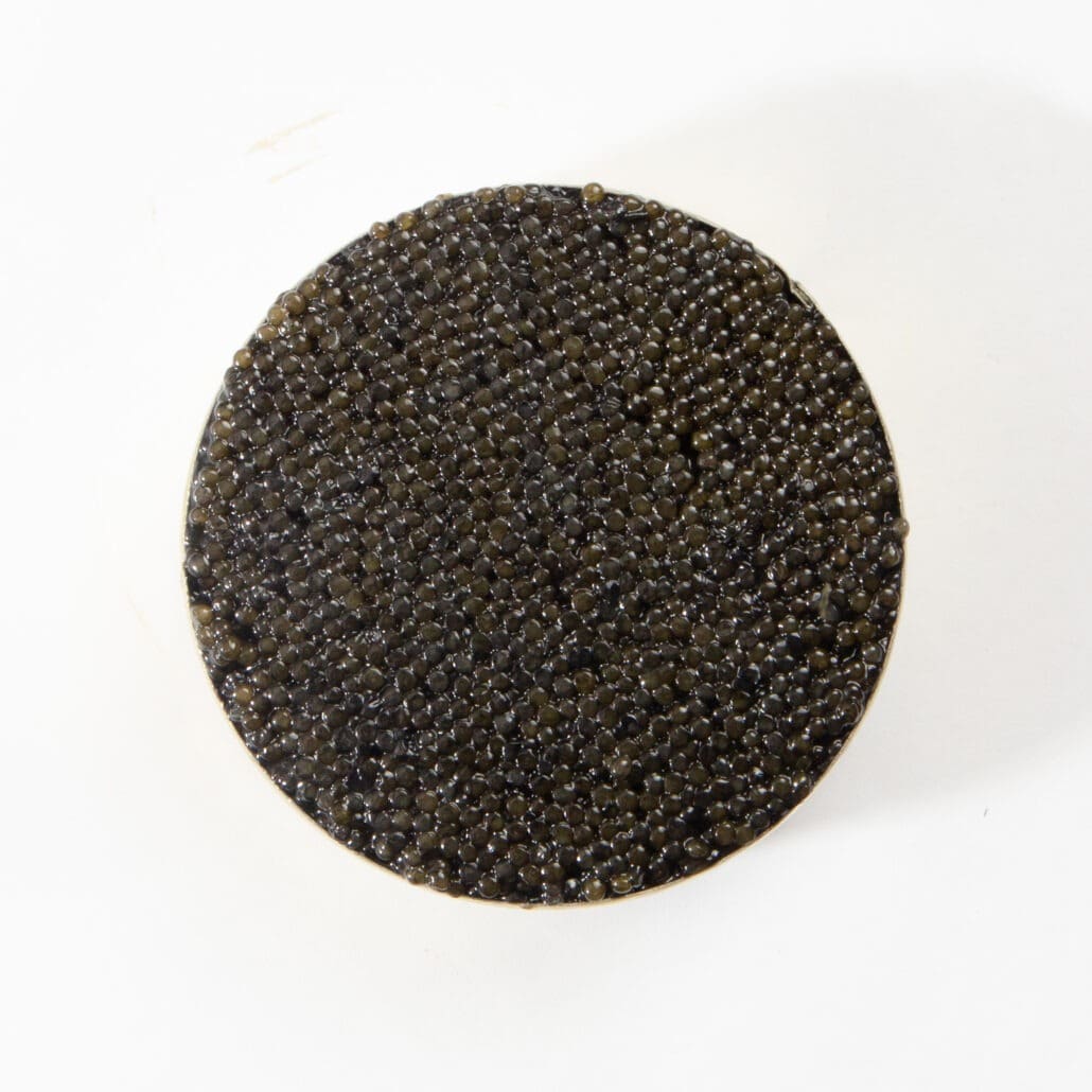 Russian Beluga Caviar | Farm Raised | Caviar Emporium
