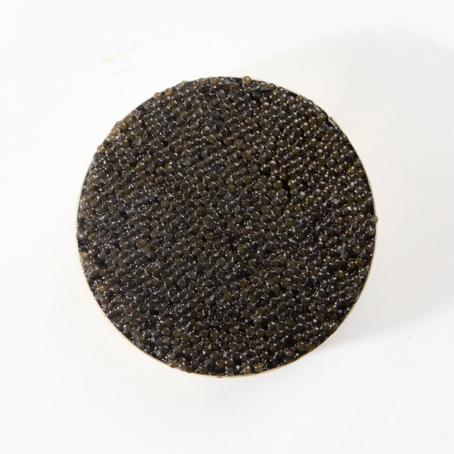Russian Beluga Caviar | Farm Raised | Caviar Emporium