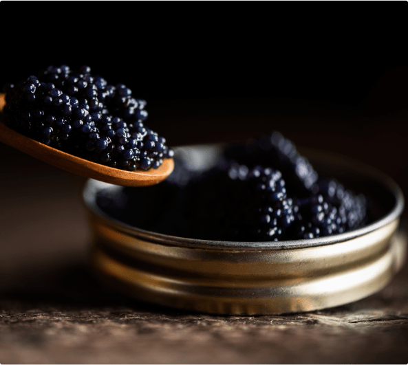 Sturgeon Caviar | Sustainably Sourced | Caviar Emporium